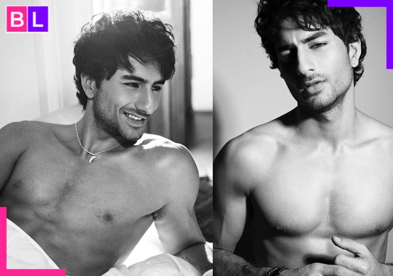 Ibrahim Ali Khan gears up for Nadaaniyan; know more about his education ...