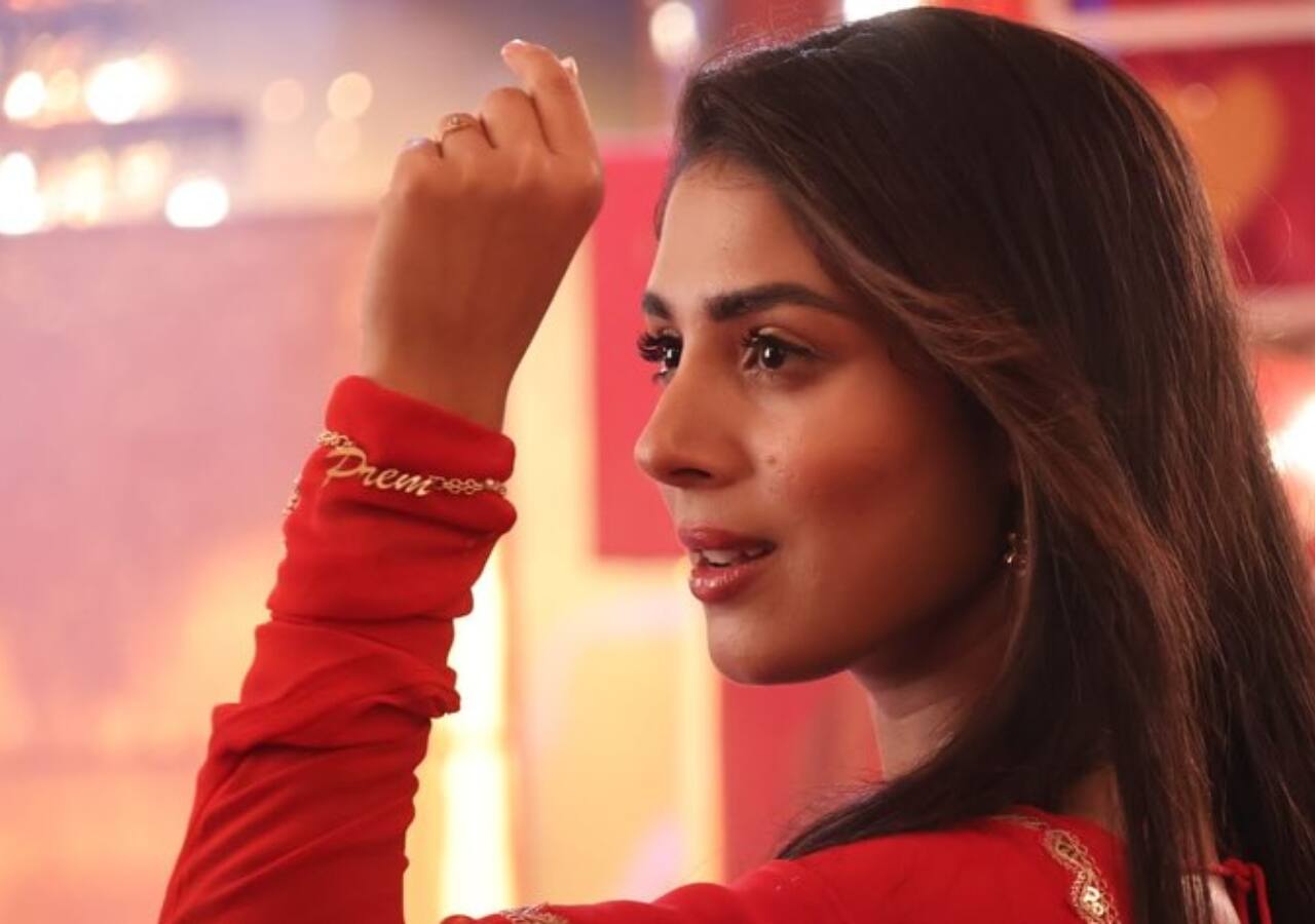 Anupama Maha Twist: Rahi Prem will cross limits on Valentine Day ...