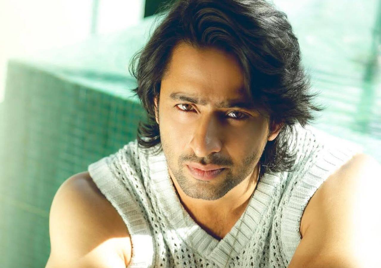 shaheer sheikh the actor who once acted as arjun in mahabharat but moved to indonesia