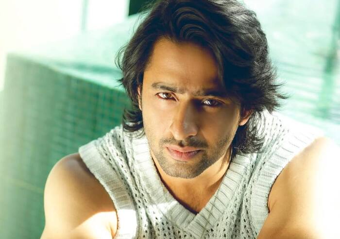 shaheer sheikh the actor who once acted as arjun in mahabharat but ...