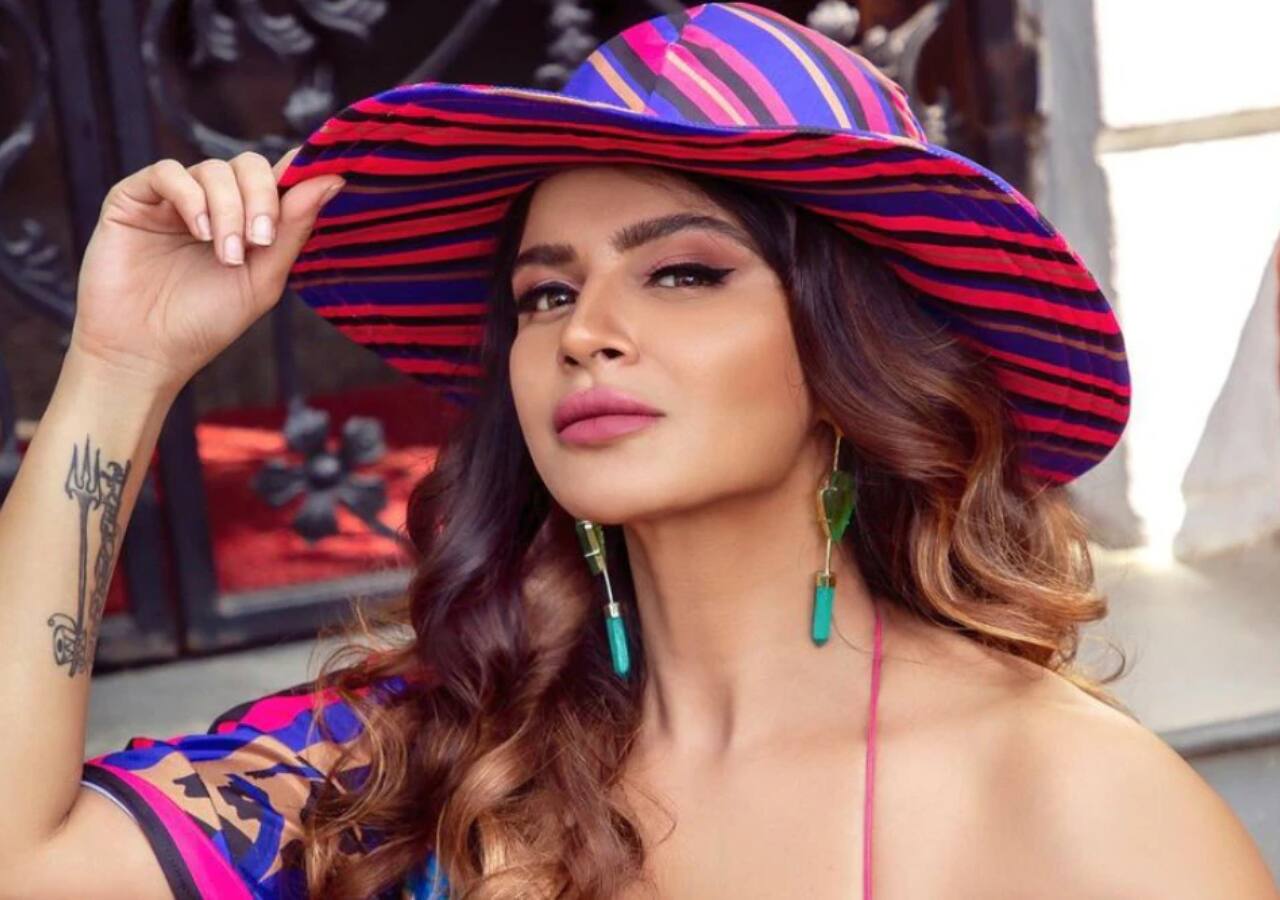 Erica Fernandes, Aashka Goradia, Dimpy Ganguly: Stars who shifted to other cities for…