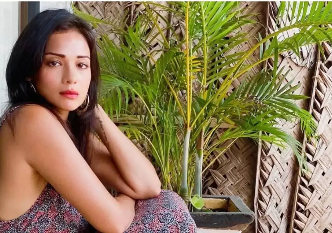 Erica Fernandes, Aashka Goradia, Dimpy Ganguly: Stars who shifted to other cities for…