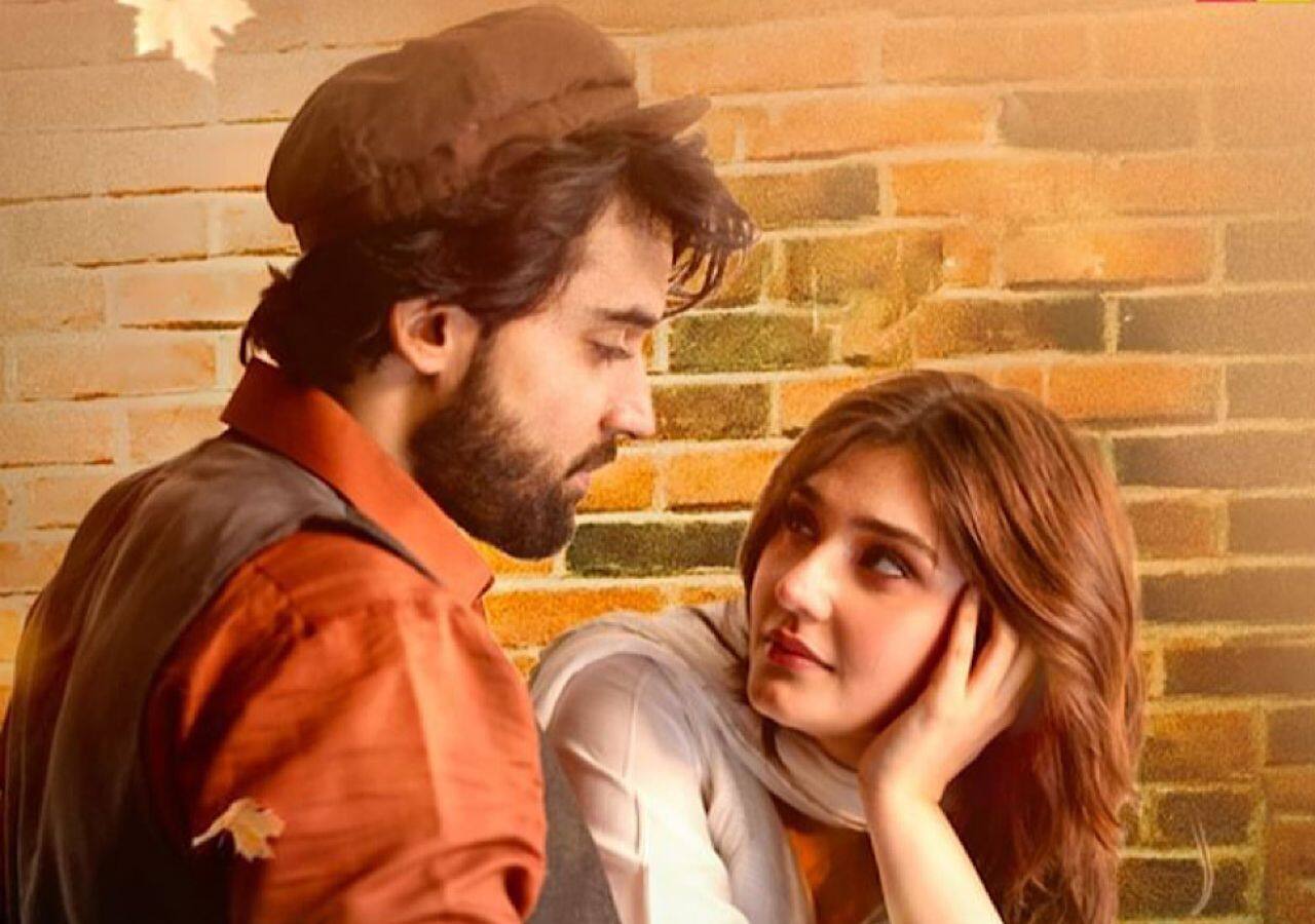 Humsafar to Zindagi Gulzar Hai; Top 7 Pakistani dramas that gained massive popularity in India