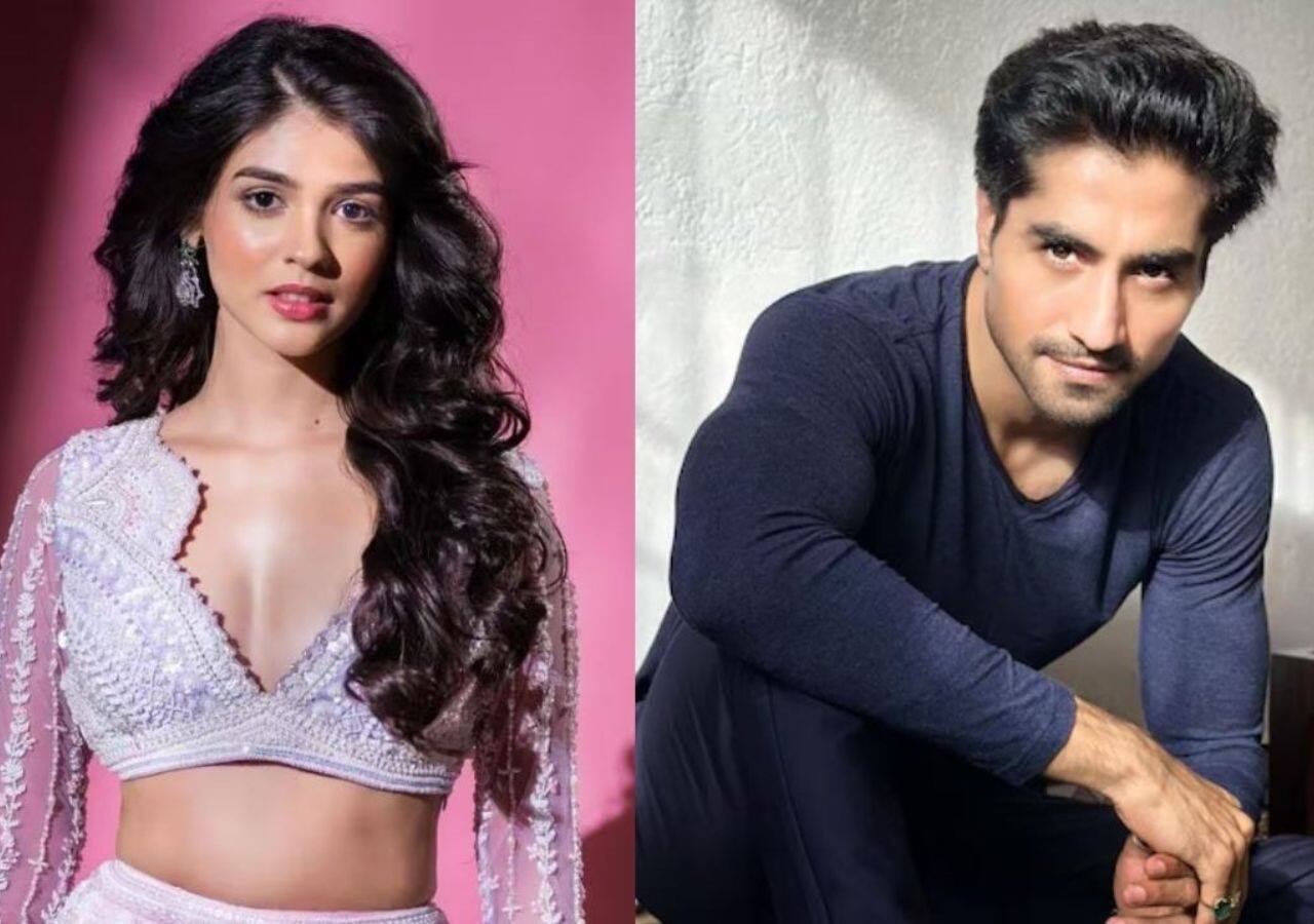 Pranali Rathod And Harshad Chopda Unfollowed Each Other On Instagram : इस चर्चित TV कपल ने ...