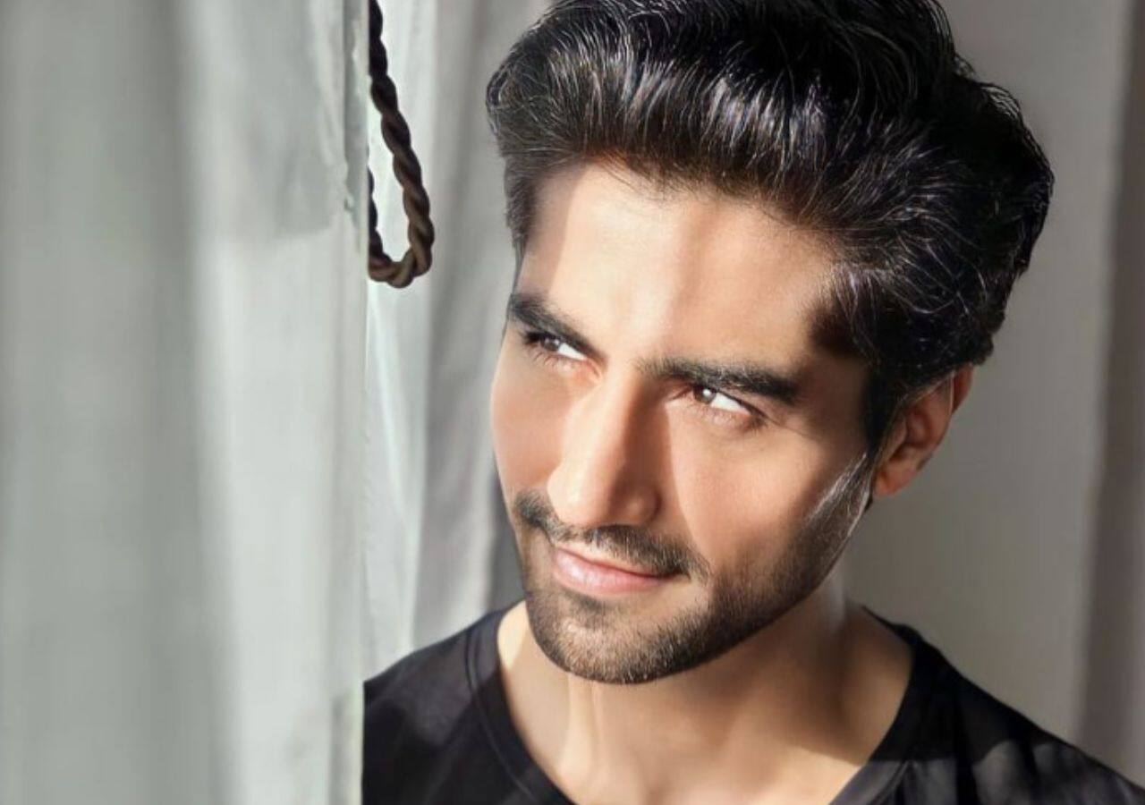 Pranali Rathod And Harshad Chopda Unfollowed Each Other On Instagram : इस चर्चित TV कपल ने ...