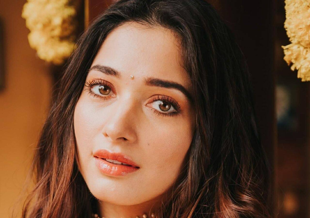 Ram Charan, Nagarjun, Tamannaah Bhatia: Know everything about Southern stars’ side ventures