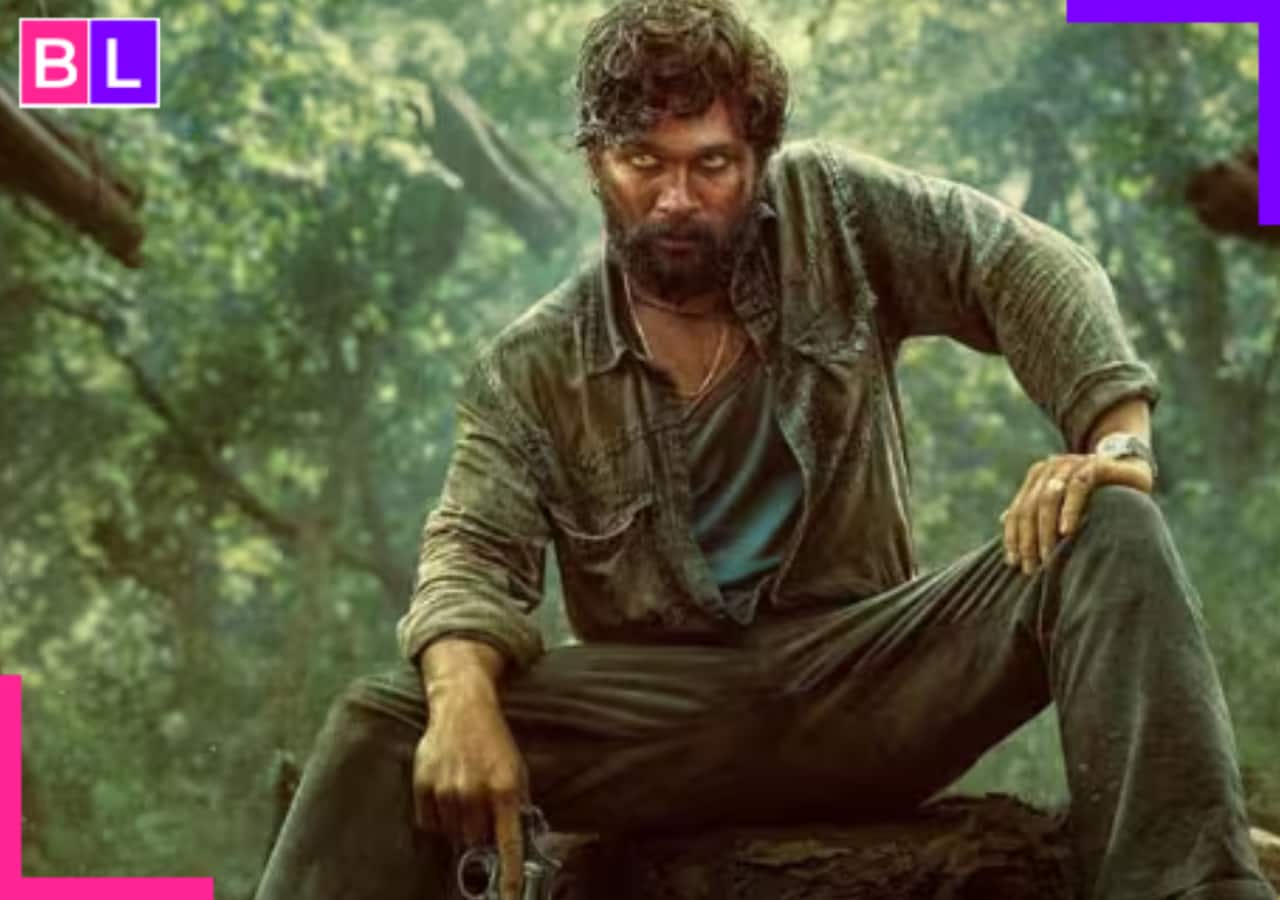 THIS film earned more than Pushpa, originally made in Tamil but later ...