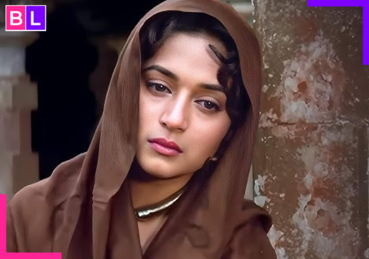 Subhash Ghai Made Madhuri Dixit Sign No Pregnancy Clause Before ...