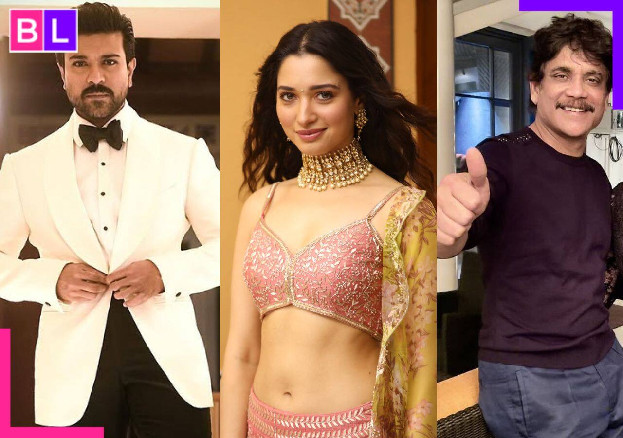 Ram Charan, Nagarjun, Tamannaah Bhatia: Know everything about Southern stars’ side ventures