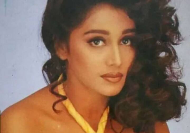 Meet actress who rejected a BLOCKBUSTER movie with Shah Rukh Khan, was called Madhuri Dixit's ...