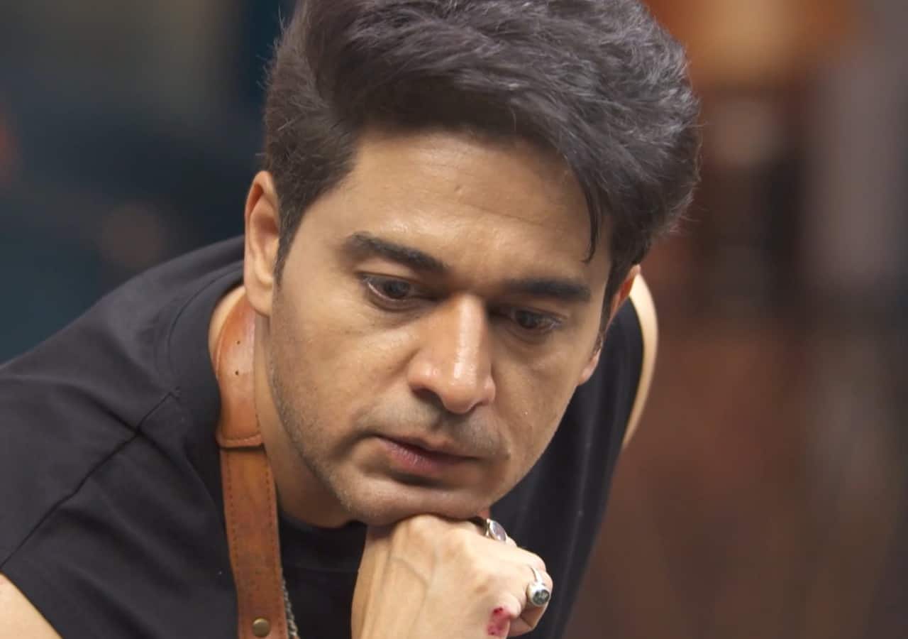 Celebrity MasterChef: THIS actor shows up to support Gaurav Khanna; fans say 'Moment we had...'