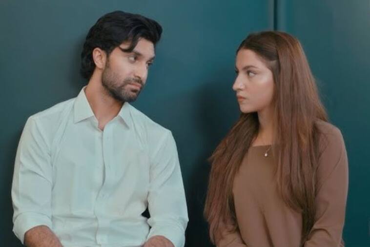 Pakistani drama Meem Se Mohabbat last episode to air on April 10; know ...