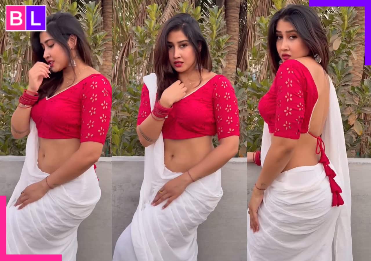 Sofia Ansari Flaunting Belly Button In White Saree Photos Goes Viral See pics - Sofia Ansari ने ...