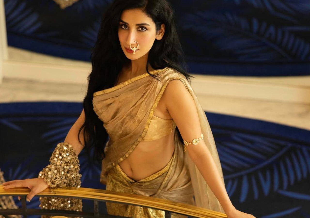 ऑफ शोल्डर ब्लाउज और बोल्ड साड़ी लुक में छाईं पारुल गुलाटी : Cannes 2025 Parul Gulati Bold Saree ...