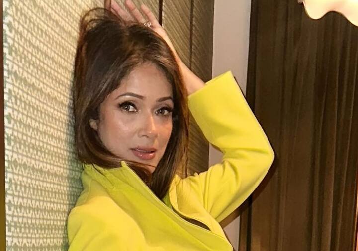 मौत को गले लगाने चली थीं शाहरुख खान की ये एक्ट्रेस, फिर ऐसे बदली किस्मत : shah rukh khan co star ...