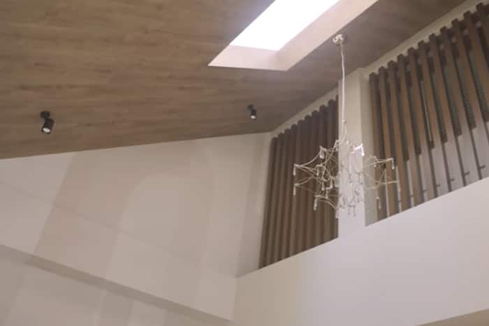 Tree-lined courtyards to skylit living rooms: What's inside Ahaan ...