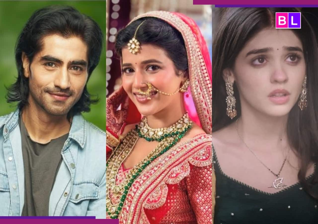 Harshad Chopda, Samridhii Shukla, Pranali Rathod or Rupali Ganguly; which star gained MASSIVE ...