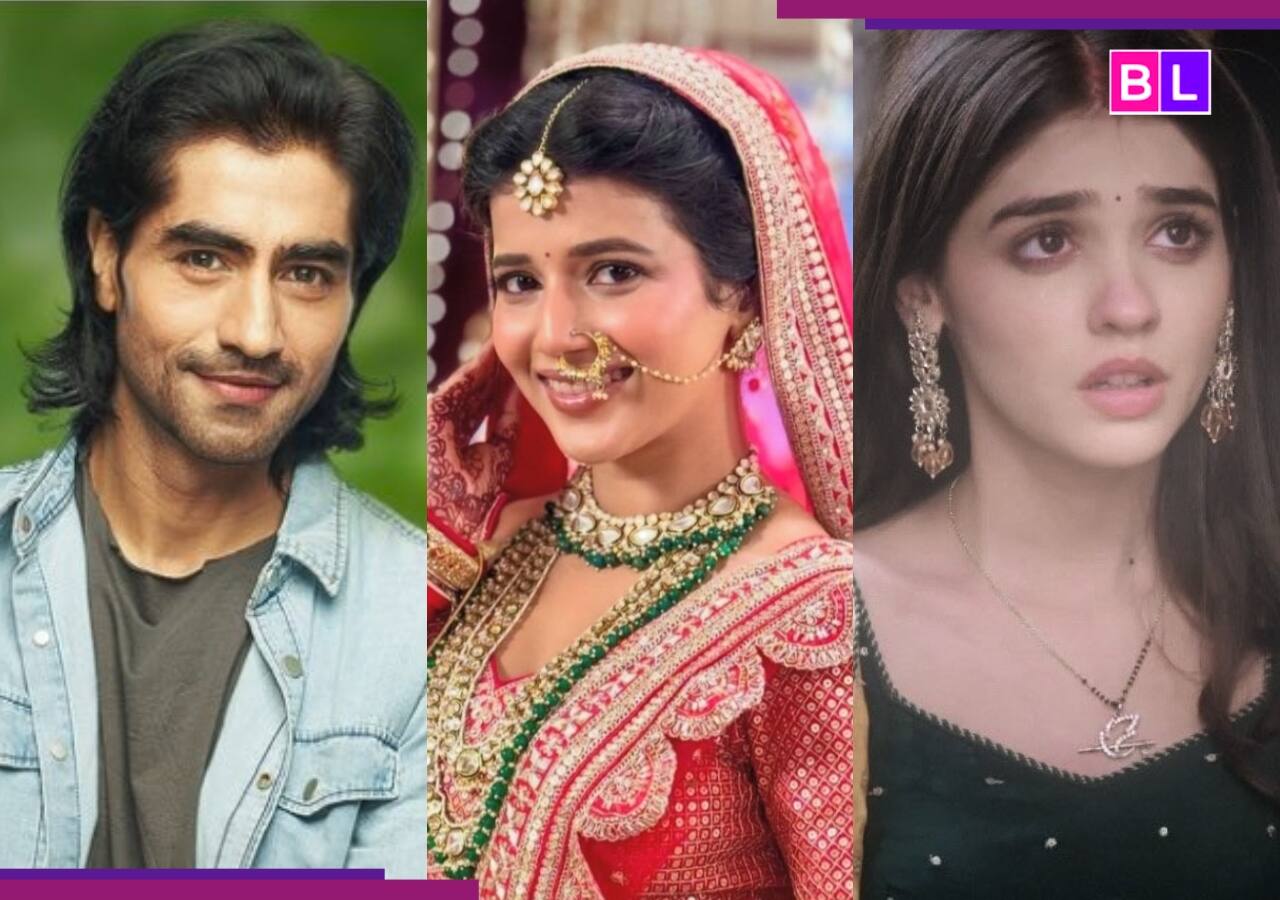 Harshad Chopda, Samridhii Shukla, Pranali Rathod or Rupali Ganguly; which star gained MASSIVE ...