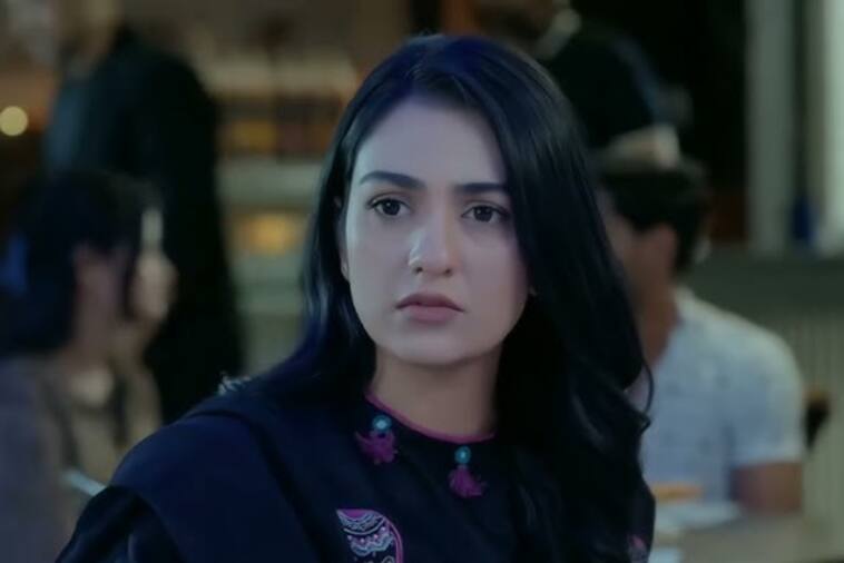 Sher Drama Episode 17: When and Where to watch Danish Taimur and Sarah ...