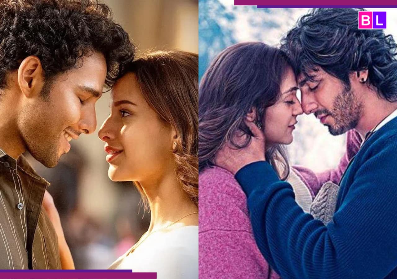 Siddhant Chaturvedi and Triptii Dimri movie Dhadak 2 opening day ...