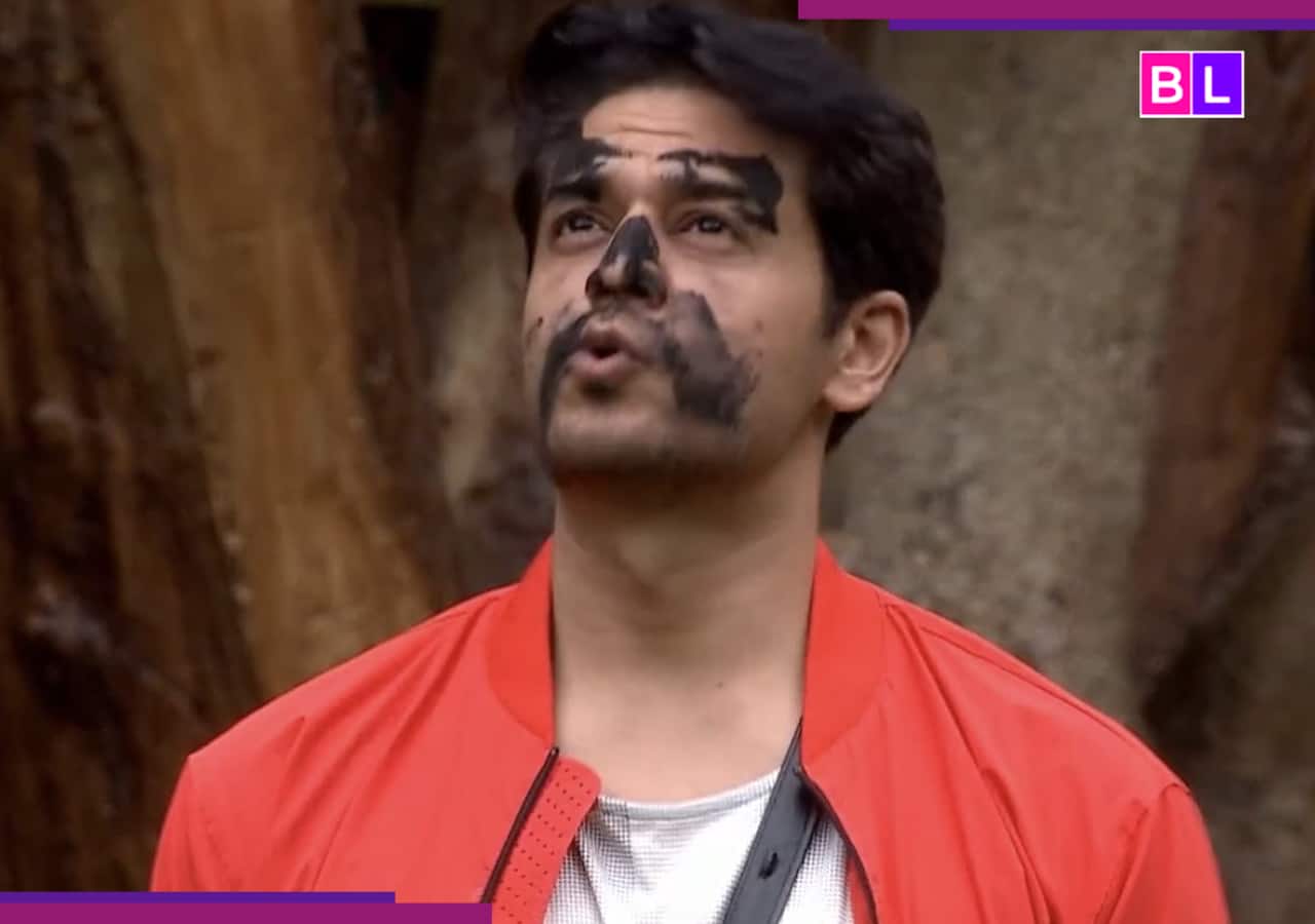 Bigg Boss 19: Sandiip Sikcand and Rajiv Adatia come out in support of ...