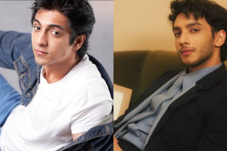 Ahaan Panday-Vedang Raina to Katrina Kaif-Zareen Khan: TOP 8 Bollywood celeb pairs who look like...