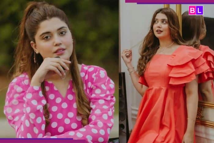 THIS Pakistani actress’ private video got leaked, crossed all extent of ...