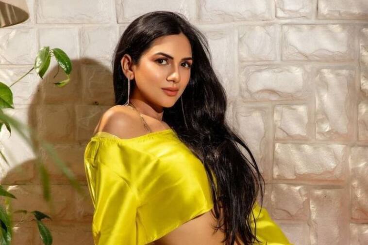 Who is Akansha Chamola? Wife of BB19's Gaurav Khanna, has a net worth ...