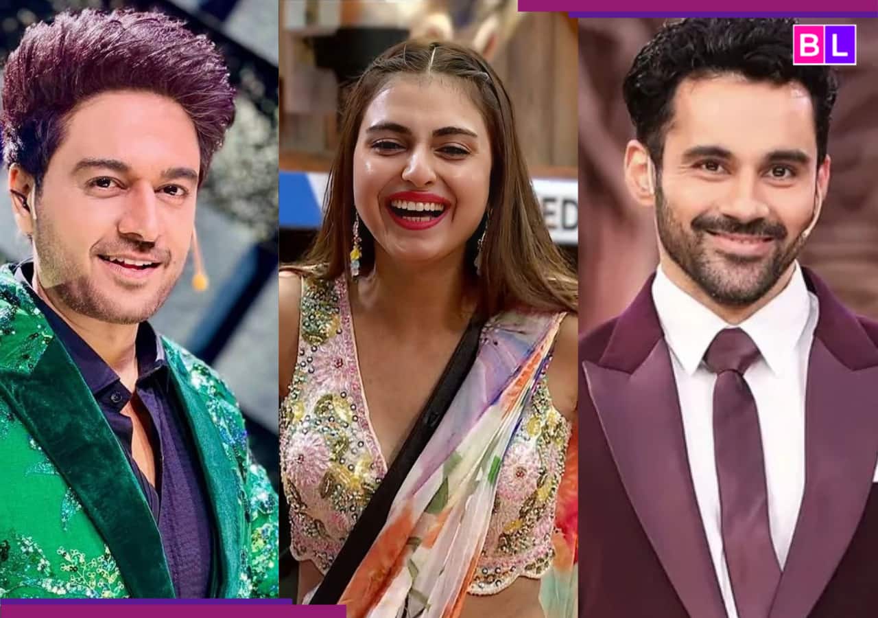 Bigg Boss 19 Winner LEAKED: Not Amaal Malik, THIS contestant to win ...