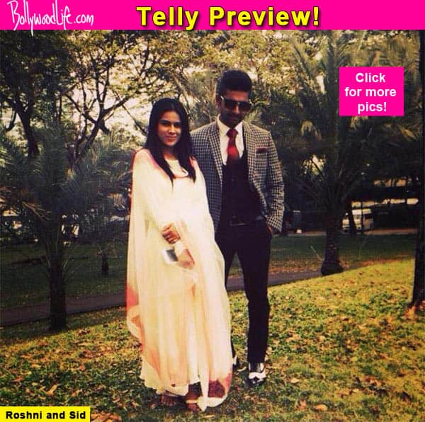 Jamai Raja: Will Roshini come back to Sid? - Bollywood News & Gossip ...