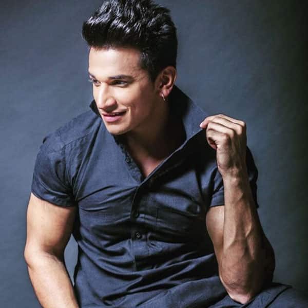 Prince Narula to play a snake charmer in Naagin 3 - Bollywood News ...