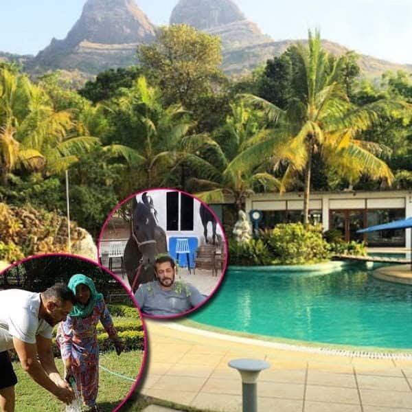 Salman Khan’s Panvel farmhouse seems like a perfect place to chill