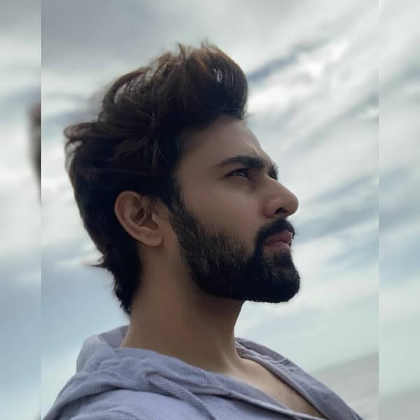 Naagin 3 actor Pearl V Puri flaunts his perfect jawline, and we are so ...