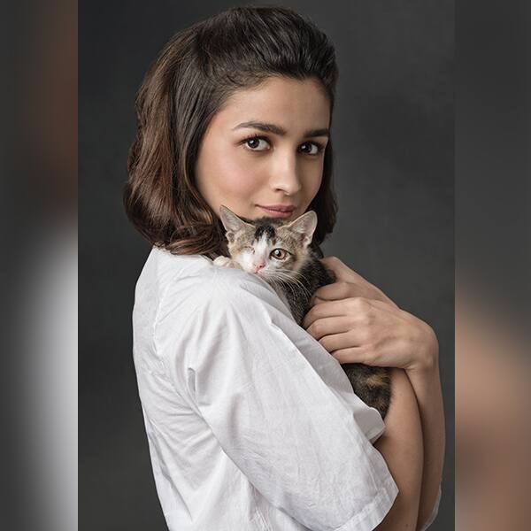 Alia Bhatt is all for animal welfare, urges for adoption of stray cats ...
