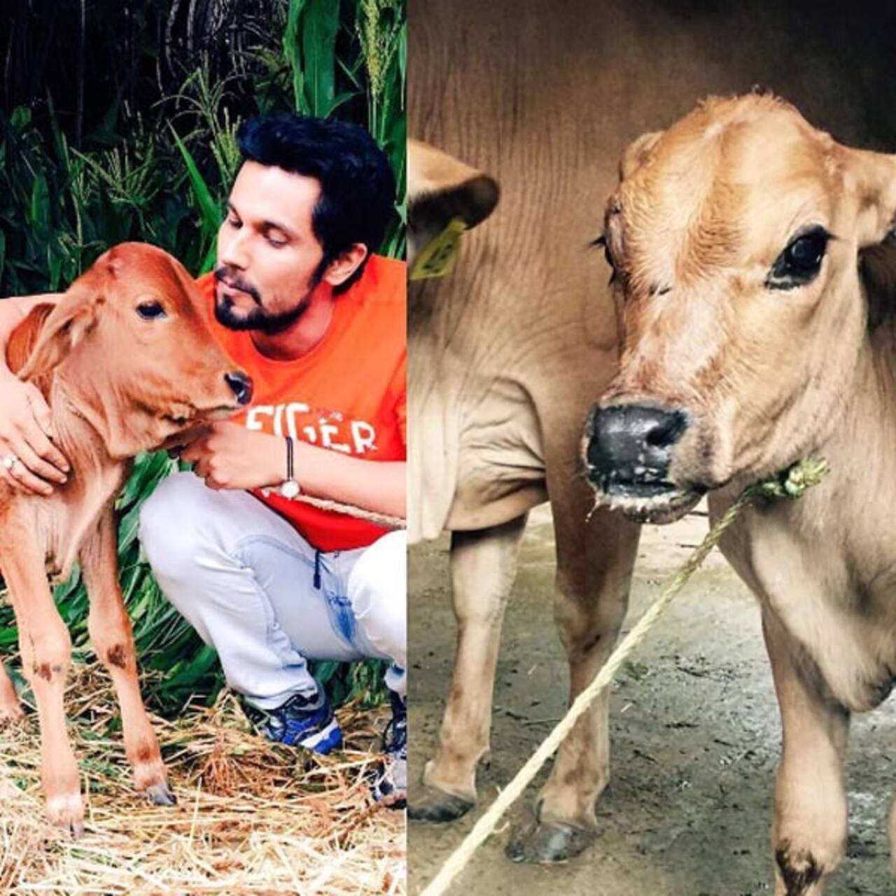 On his 40th birthday here are the pictures that prove Randeep Hooda is ...